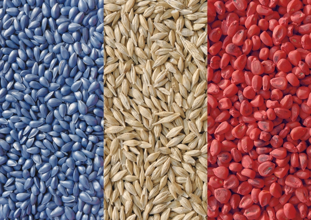 Seed Supplier | ID GRAIN Expertise