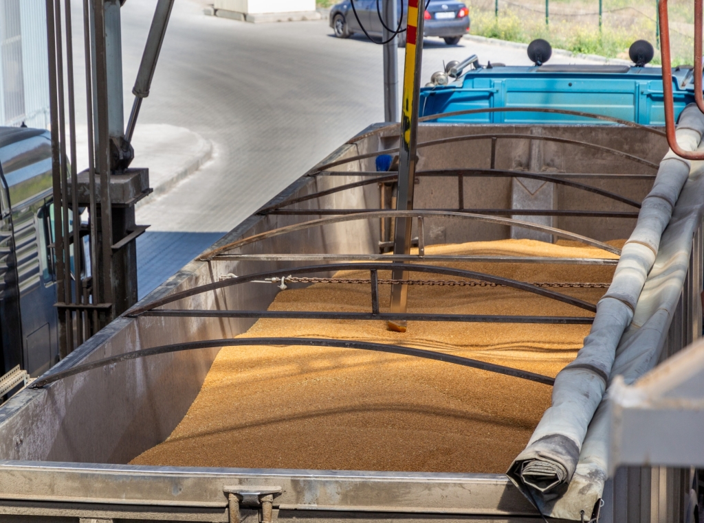 Seeds - ID GRAIN: From seed to grain